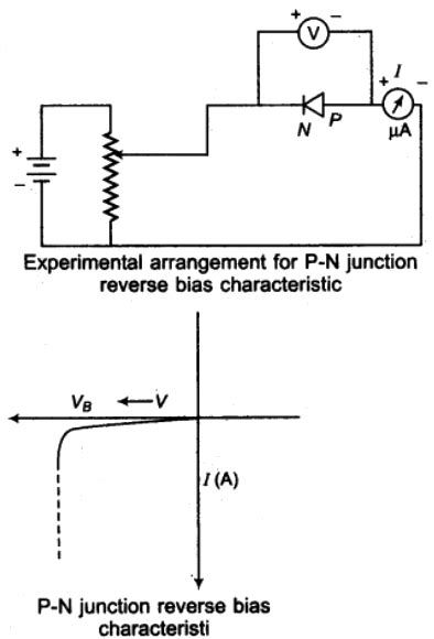 What Do You Mean By Reverse Biasing Of P N Junction Diodes Sarthaks Econnect Largest Online