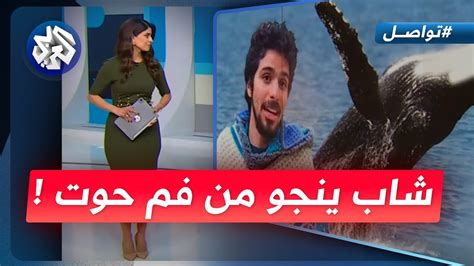 التقمه ثم لفظه شاب ينجو بأعجوبة من فم حوت أحدب أمام أعين والده│ تواصل Youtube