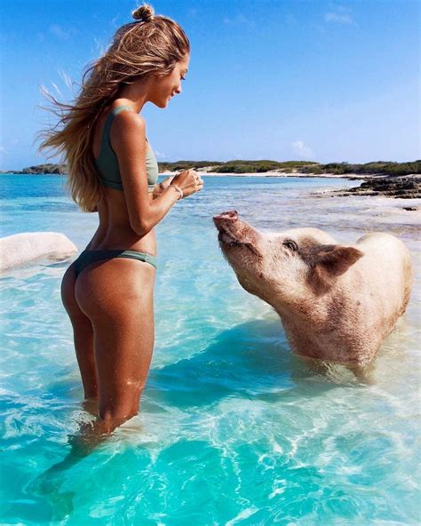 Swine Porn Pic Eporner