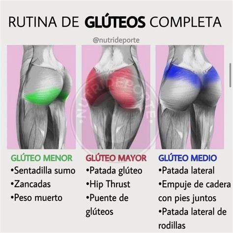 Nutrideporte On Instagram Aquí Os Dejo La Rutina De Las Rutinas