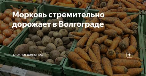 Морковь стремительно дорожает в Волгограде Блокнот Волгоград Дзен
