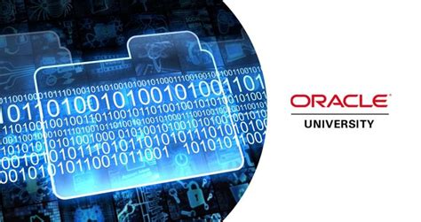 Curso Para Ser Profesional Autónomo De Bases De Datos Oracle
