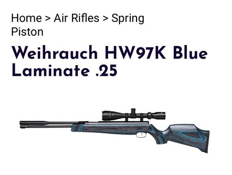 Glock 19 Airgun Co2 Problem Rairguns