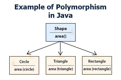 Understanding Polymorphism And Inheritance In Java With Examples Genspark
