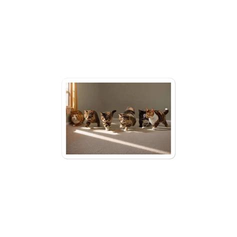 Gay Sex Cats Sticker