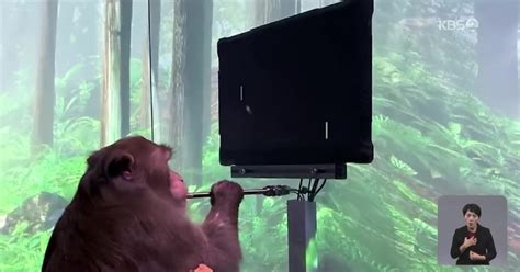 머스크 생각으로 컴퓨터 제어”인간 뇌에 인공칩 이식