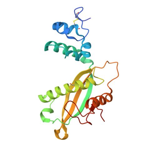 Rcsb Pdb 8vm1 Structural Elucidation Of The Mesothelin Mucin16 Ca125