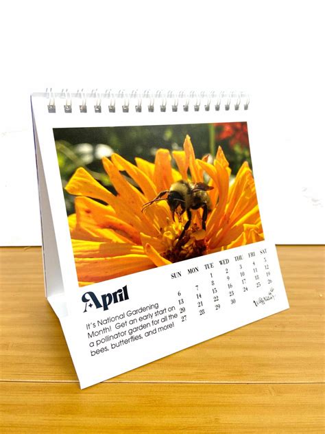 Annual Flower Calendar Wildly Native Flower Farm