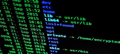 5 Terminal Commands To Clean And Speed Up Your Macbook Daily Ticktechtold