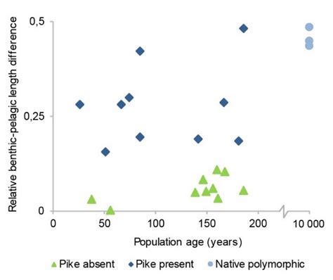 Rapid Body Size Divergence Is Associated With Formation Of Benthic And Download Scientific