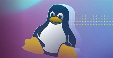 Top Best Linux Distros Every Developer Must Use Tech Hyme