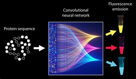 Protein Property Prediction With Cnns A Technical Dive With Real World