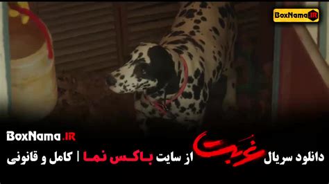 فیلم غربت قسمت اول آناهیتا درگاهی جعبه