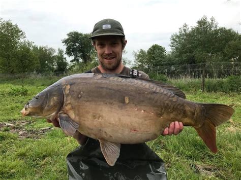 Ratfyn Farm Carpworld™