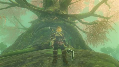 Zelda Tears Of The Kingdom Characters