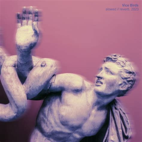 Sins Of The Pythons Slowed Reverb Vice Birds