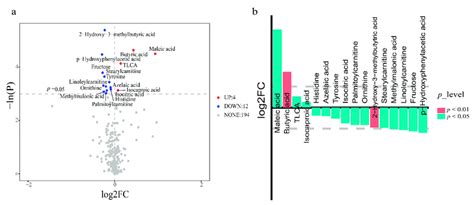 Opls Da Score Plot And Permutation Test Of The Opls Da Model A