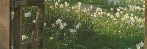 135 Header Pictures Twitter Header Pictures Green Aesthetic