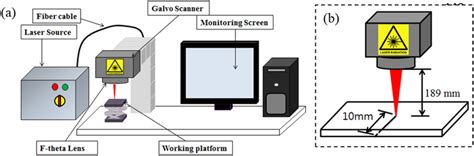 A Experimental Setup And B Laser Irradiation Path Download Scientific Diagram