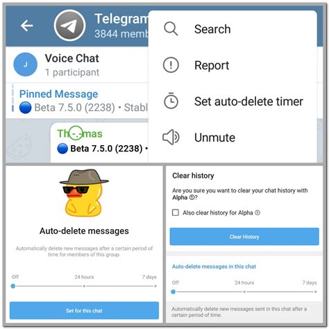 Telegram Adds Invite Links With Custom Expiry Span And Message Auto Delete Tool