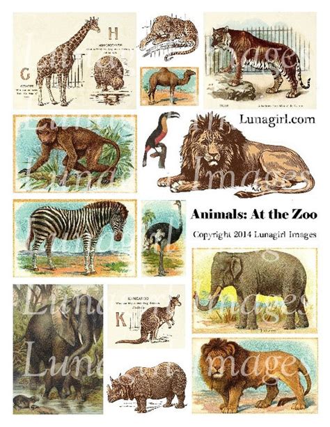 Zoo Animals Collage Artwork By Animals The Maryland Zoo