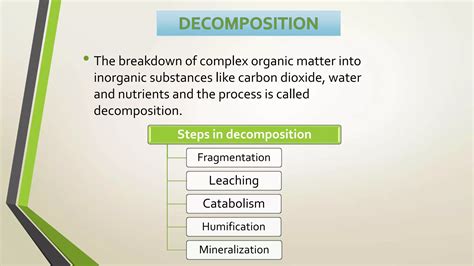 Structure And Function Pptx