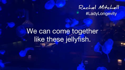 Rachel Mitchell On Linkedin Ladylongevity Networking Linkedin Grow Business Careers