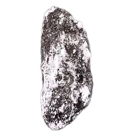 万年一粒米：上山文化的稻作遗存丨新知