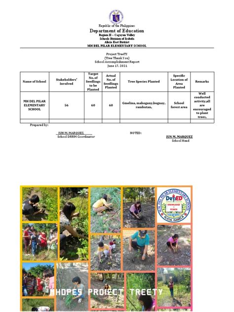 Project Treety Mhdpes Accomplishment Report Pdf Trees Plants
