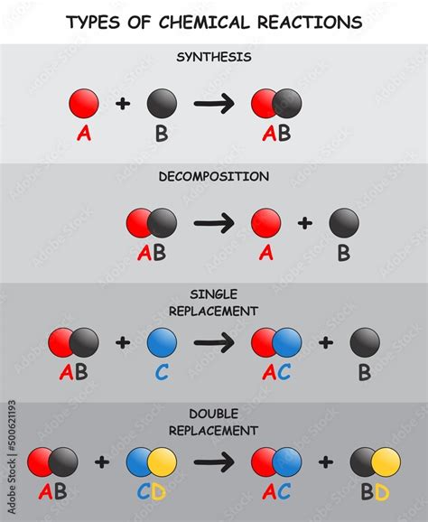 Types Of Chemical Reactions Infographic Diagram Including Synthesis Decomposition Single And