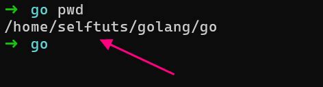 Install Golang On Linux Selftuts