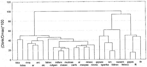 Tree Diagram For Sexual Techniques Single Linkage Euclidean Download Scientific Diagram