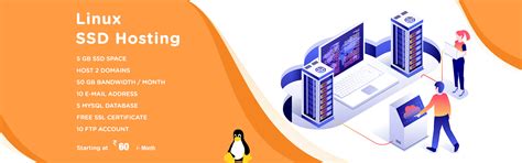 Best Linux Web Hosting Provider In India Websupporters