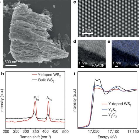 Structural Characterization Of 2d Transition Metal Chalcogenides Download Scientific Diagram