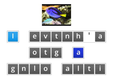 Bugs 3 Animal Body Parts And Adjectives Anagram