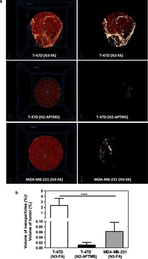 Biodistribution Of Aptms Conjugated N2 Aptms And Folic Download