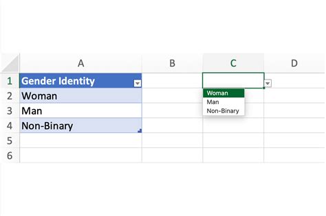Decrease Data Entry Errors With Drop Down Menus — Analytics Made Accessible