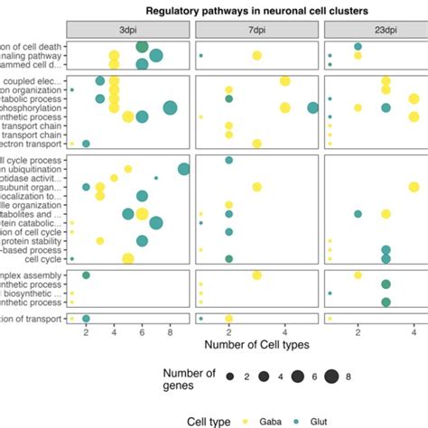 Classification Of Non Neuronal Cell Types A Normalized Expression