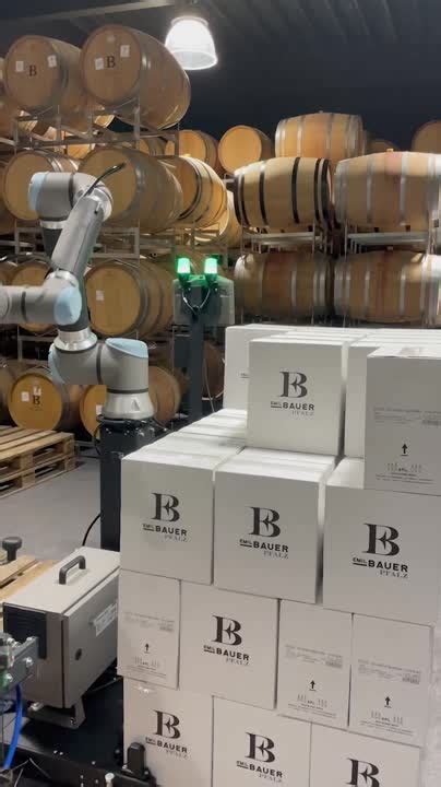 [video] Universal Robots On Linkedin Palletizing By Samsys Gmbh And