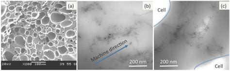 Sem Micrograph Of Foam Injection Molded Pp 126 Vol Mwcnt A And