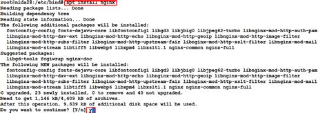 Konfigurasi Web Server Apache Dan Nginx Debian 95 Information Technology
