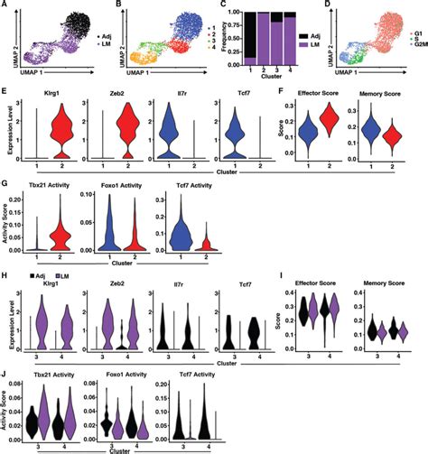 Adjuvant Elicited T Cells Express Dual Effector And Memory Download Scientific Diagram