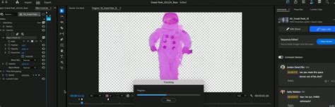 Inquiring About The Object Selection Tool In Premi Adobe Product