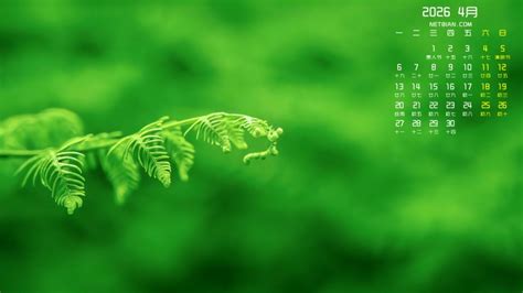 【2160p高清壁纸】2160p超清壁纸高清2160p图片2160p壁纸下载 彼岸桌面