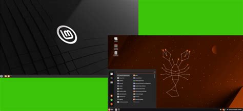 Linux Mint Vs Ubuntu Cinnamon Which Is Better