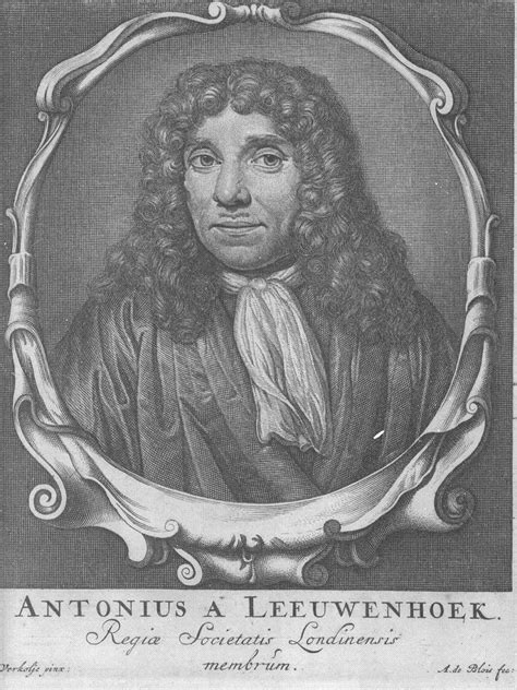 Antoni Van Leeuwenhoek Tresor