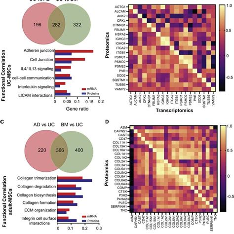 Functional Correlation Analysis Between Transcriptomics And Proteomics Download Scientific