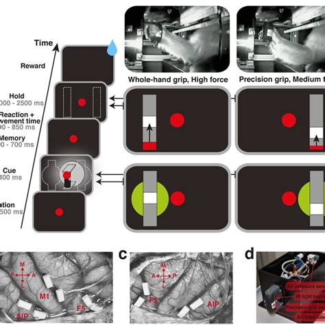 Percentage Of Explained Variance Per Condition Variance Explained By Download Scientific