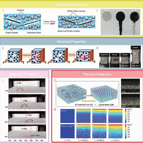Liquid Metal X Composites Which Are Multiphase Composites Containing Download Scientific