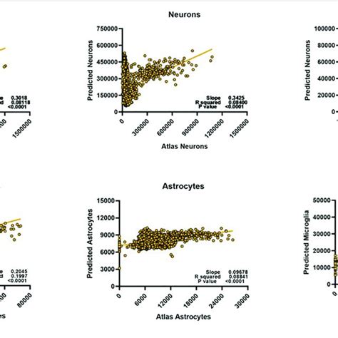 Despite Optimization Whole Brain Voxel Wise Relationships Cannot Be Download Scientific